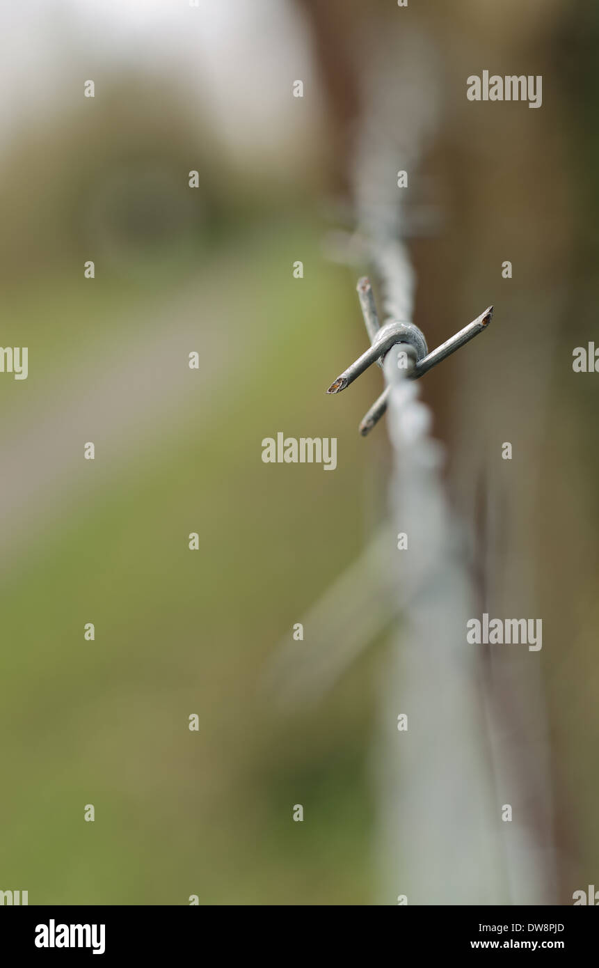 Sharp attention to detail hi-res stock photography and images - Alamy