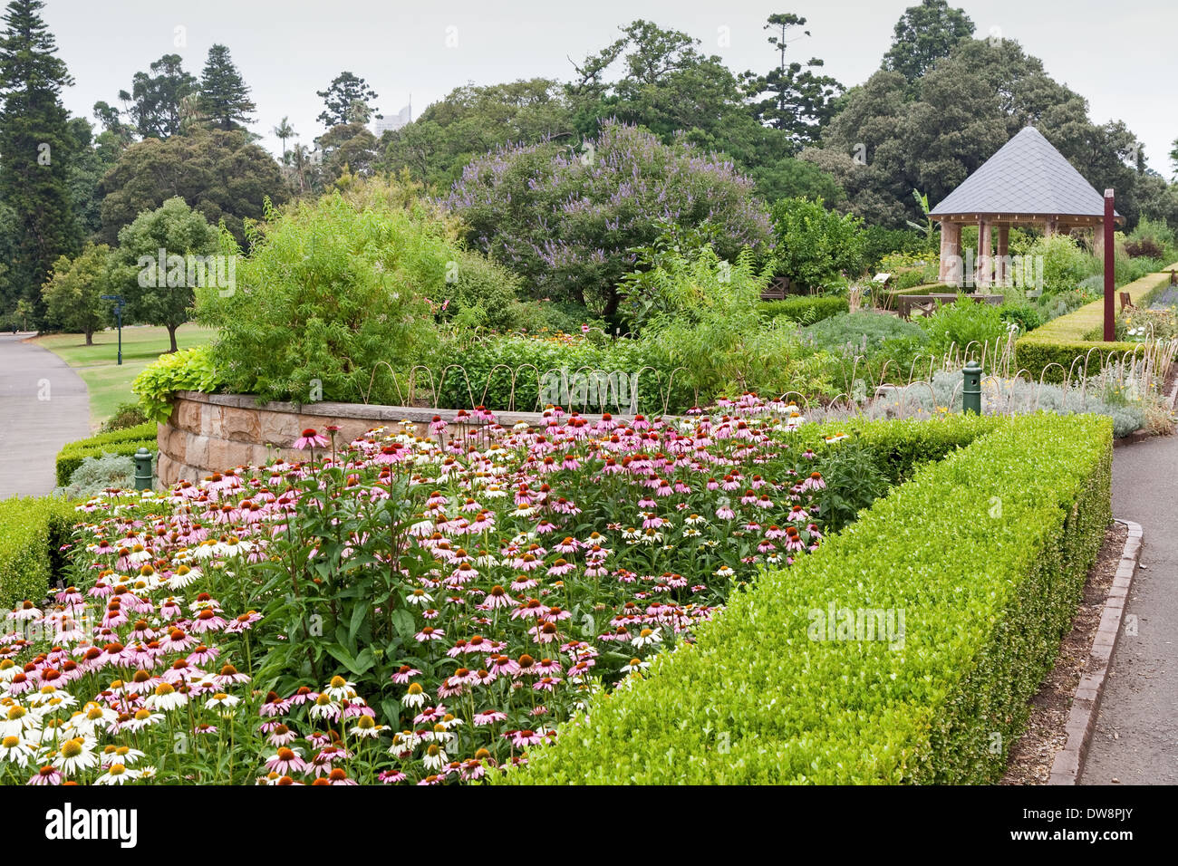 Royal Botanical Gardens Sydney Australia Stock Photo - Alamy