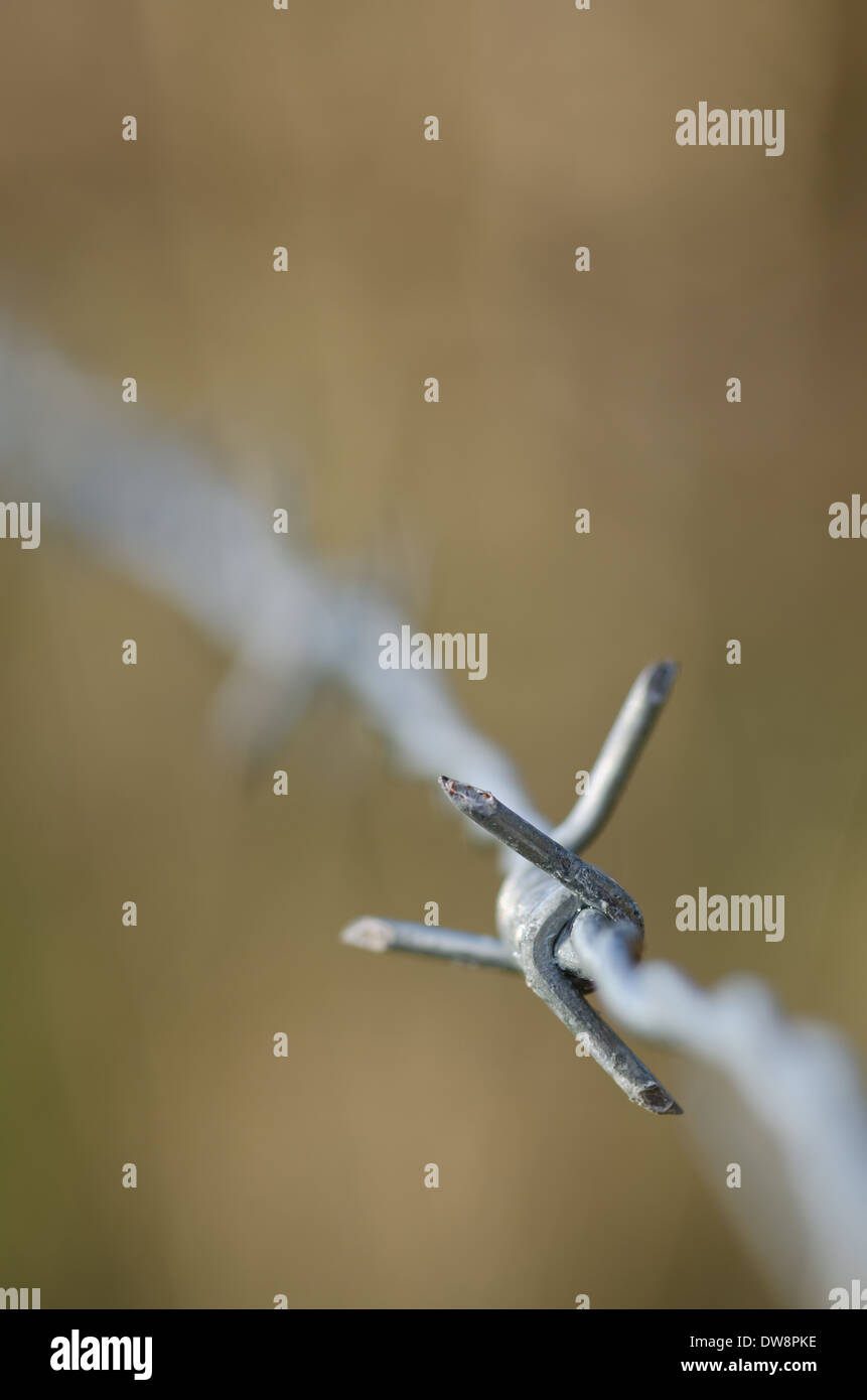 single detail on a barbed wire hook on a new galvanised wired fence to ...