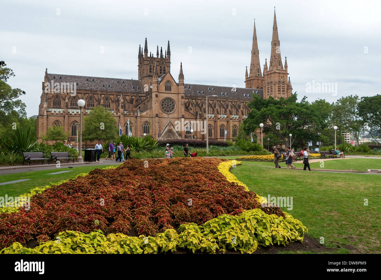 St Mary's Cathedral, Sydney, Australia Stock Photo - Alamy