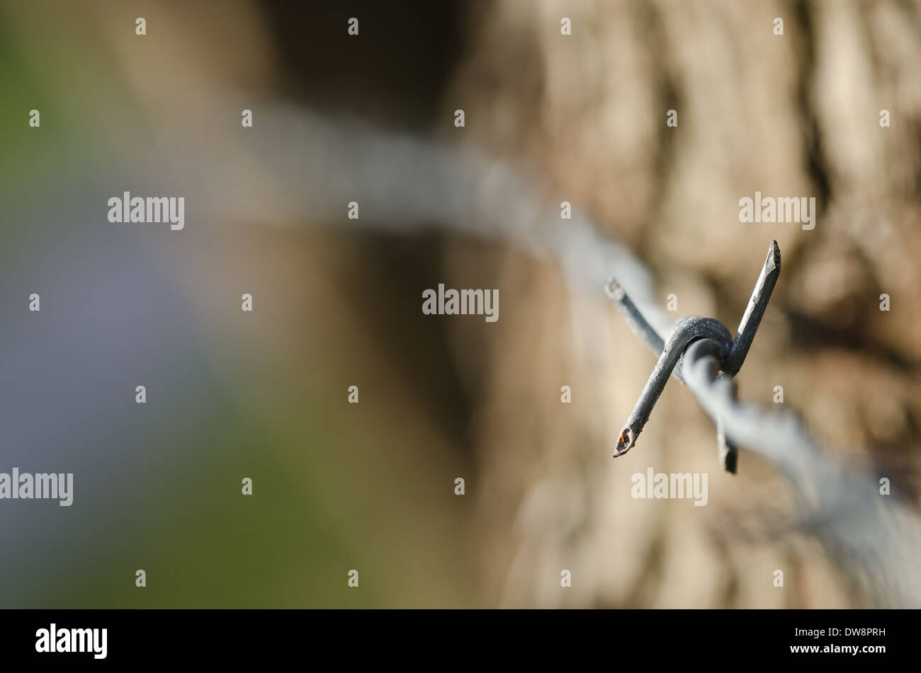 single detail on a barbed wire hook on a new galvanised wired fence to ...