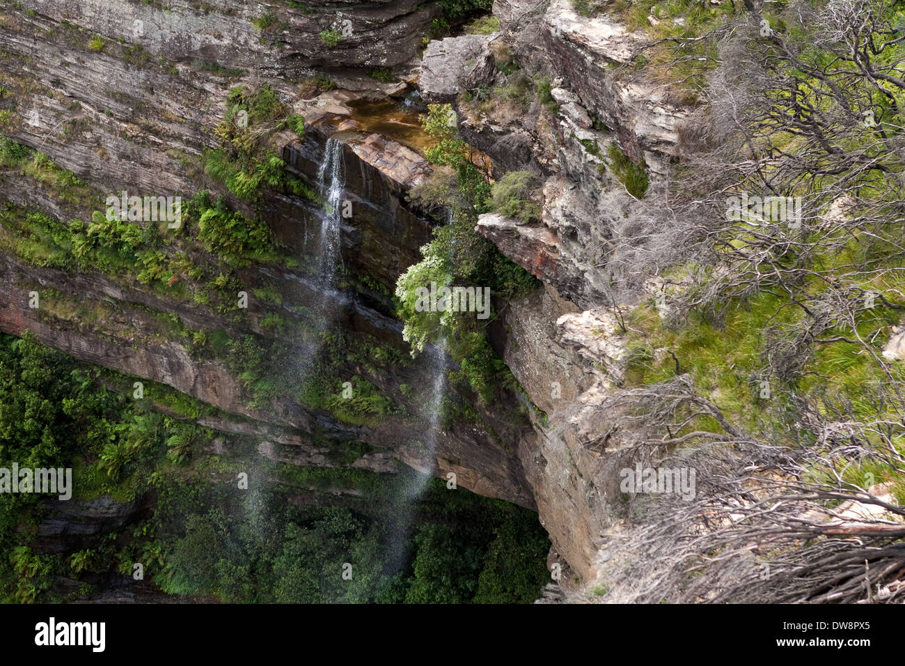 Katoomba waterfall, Blue Mountain National Park, Sydney, Australia ...