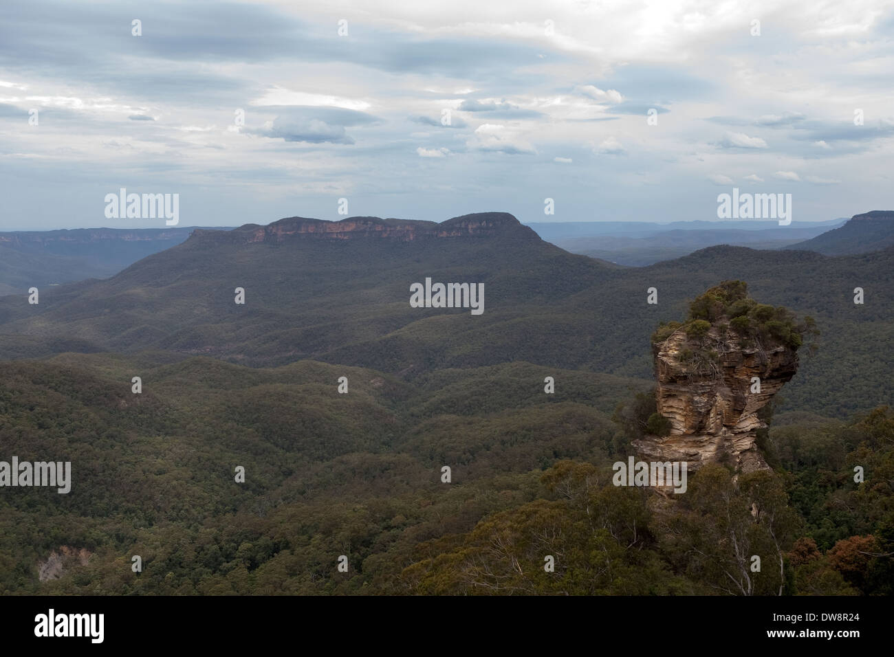 Jamison valley, Blue Mountain National Park, Sydney, Australia Stock ...