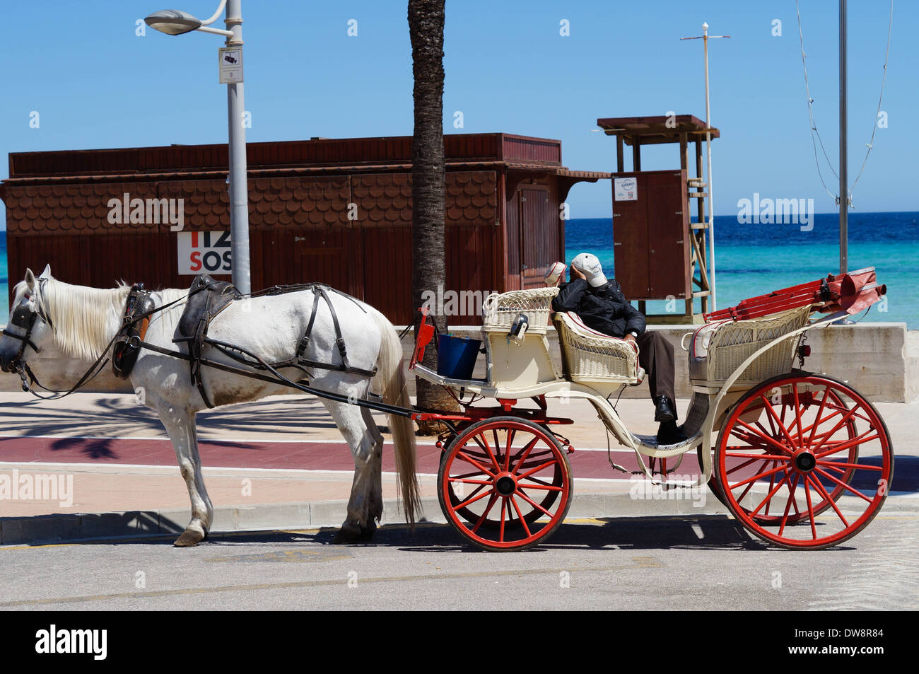 Carriage driver sleeps on carriage Stock Photo - Alamy
