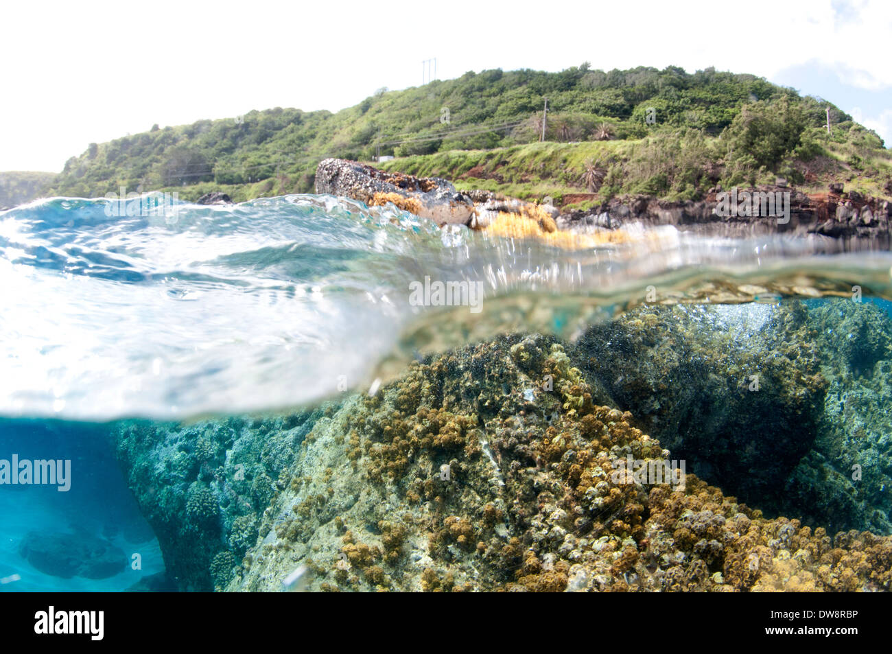 Rocky underwater landscape of Waimea Bay, North Shore of Oahu, Hawaii ...