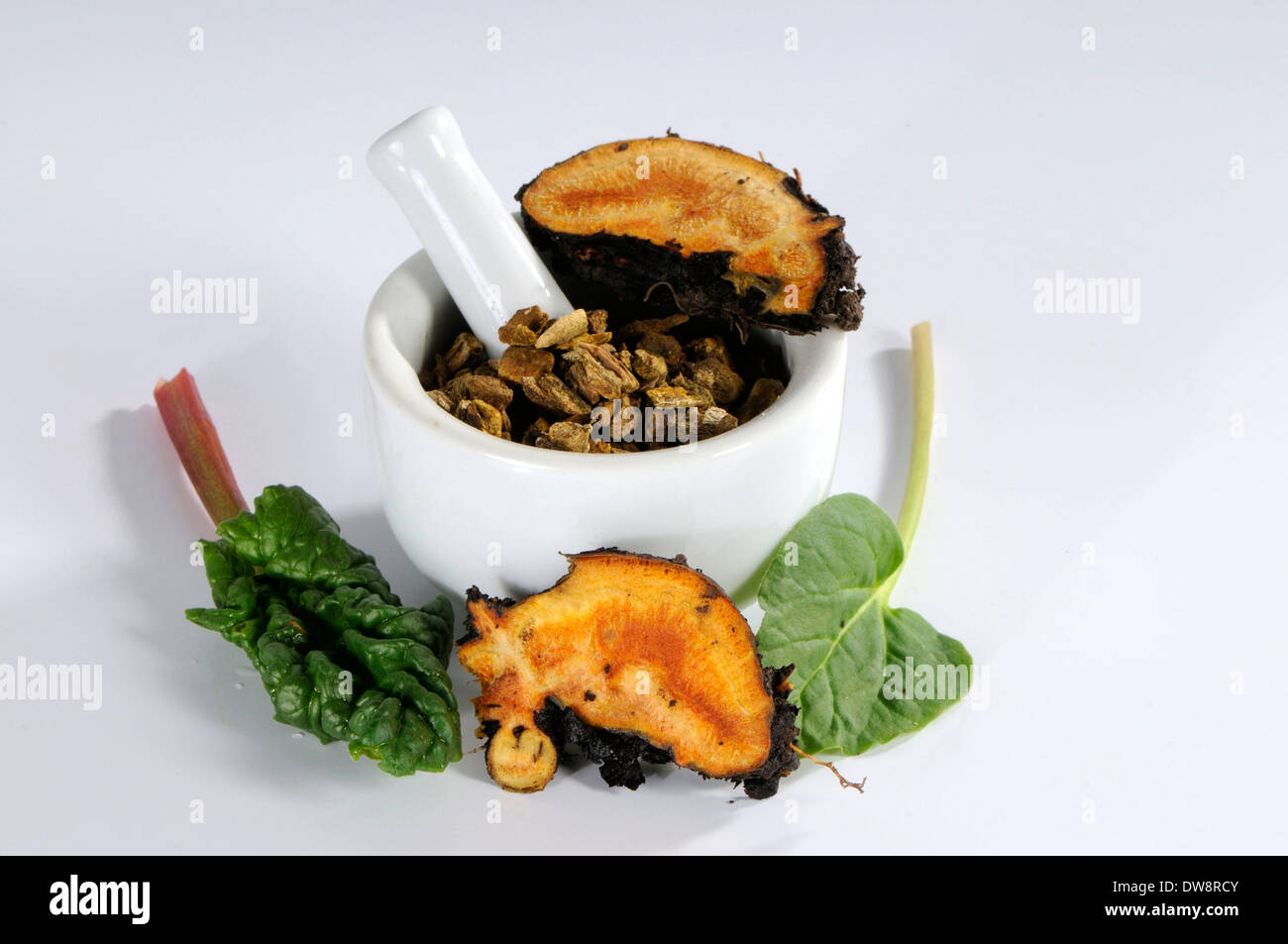 Dried Rheum root Stock Photo - Alamy