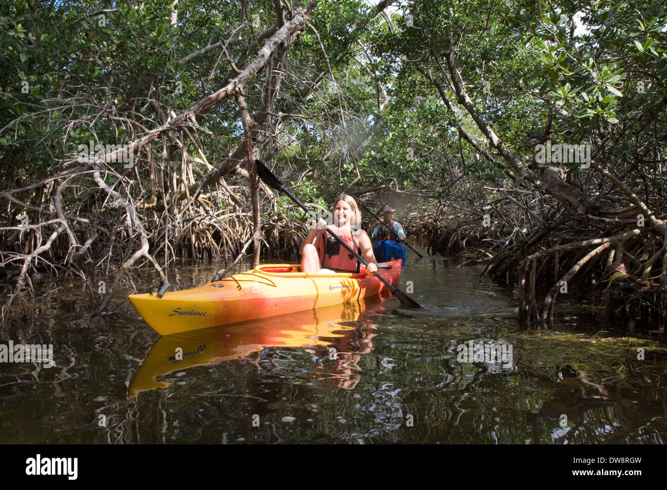 Laced with mangrove, the back-country bays of the lower Florida Keys ...