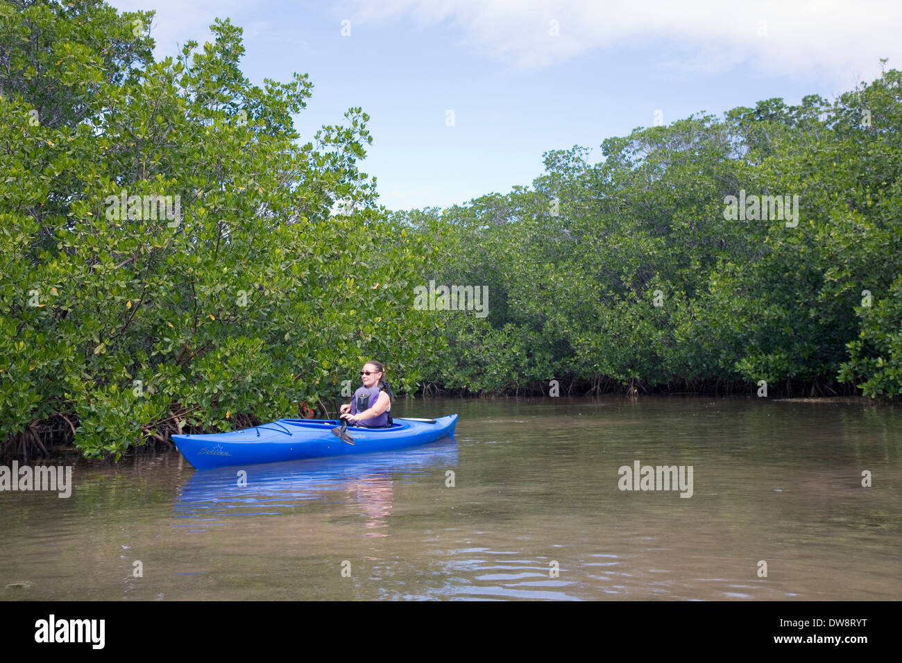 Laced with mangrove, the back-country bays of the lower Florida Keys ...