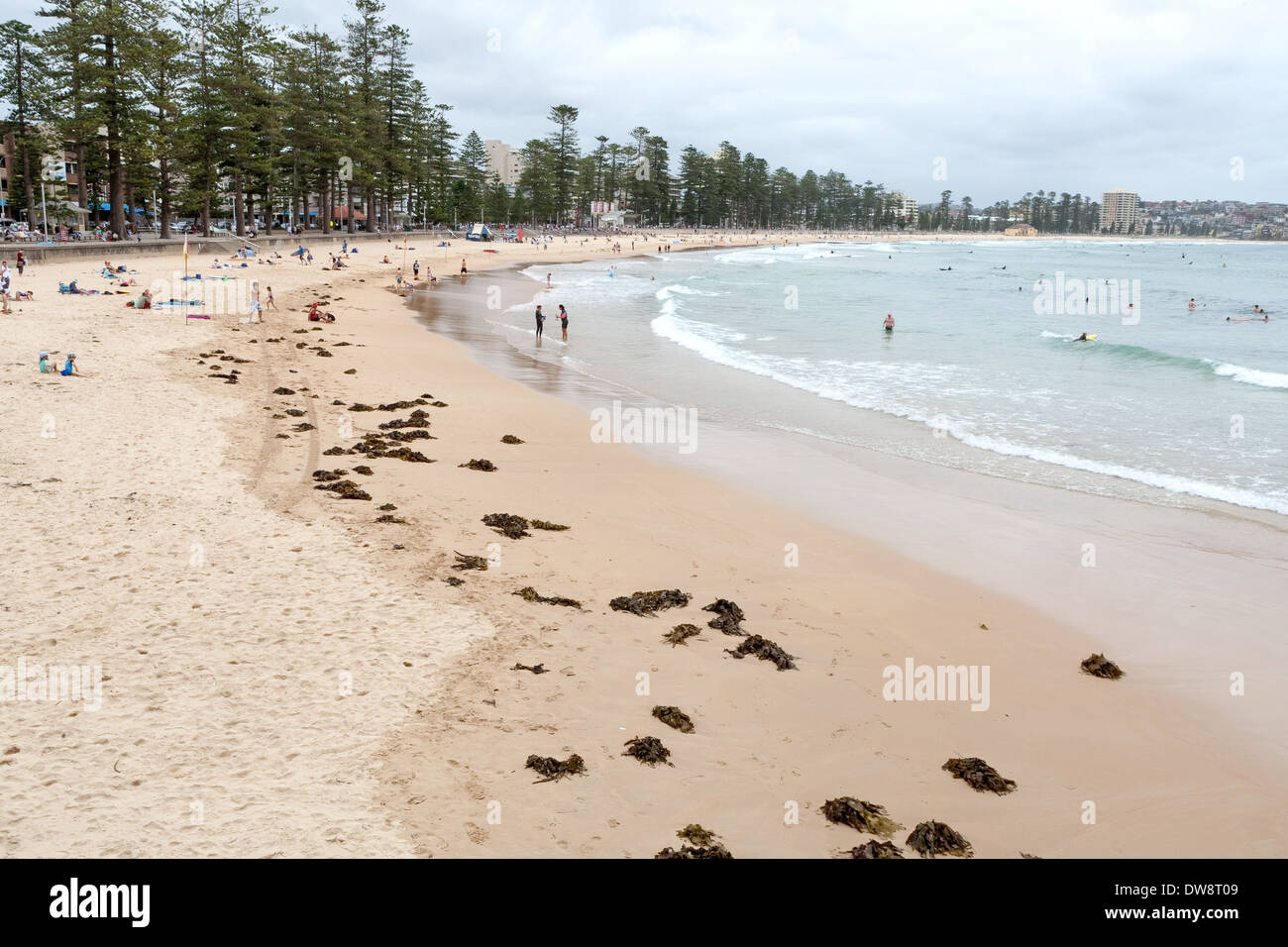 Manly, beach, Sydney, Australia Stock Photo - Alamy