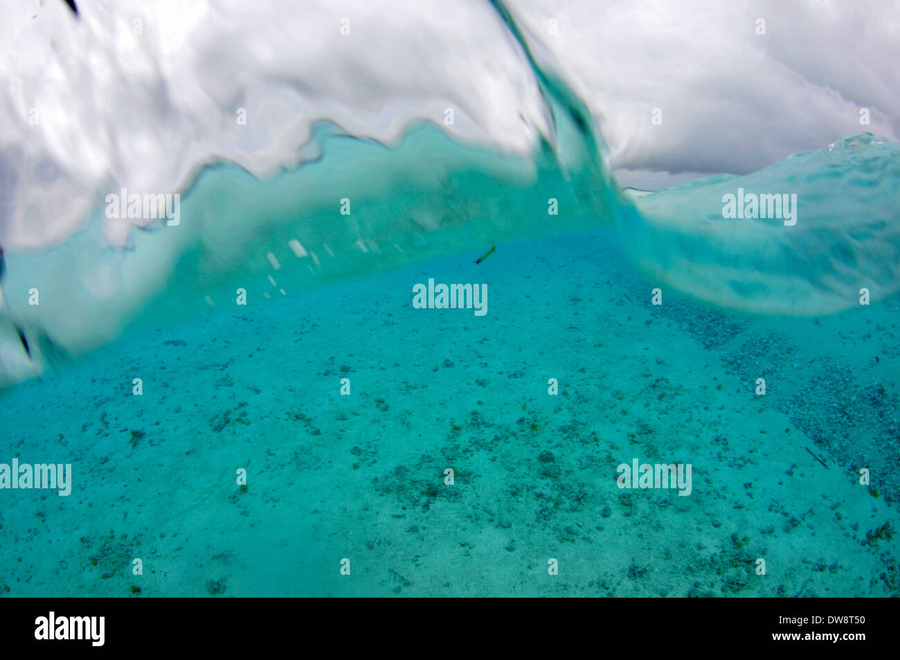 Shallow sandy bottom below the ocean surface, Wallis Island, Wallis and ...