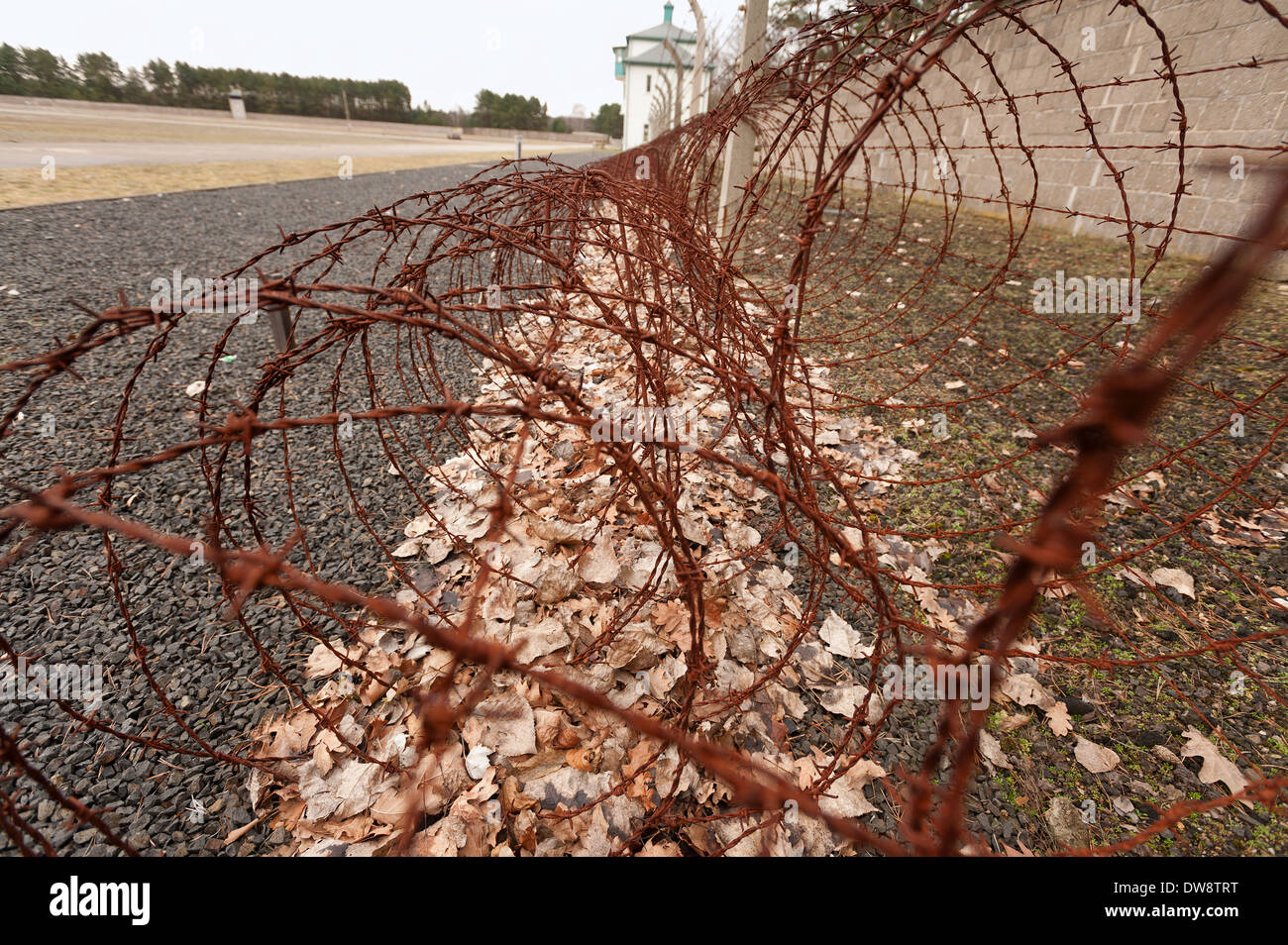 Brown Barbed Wire Border