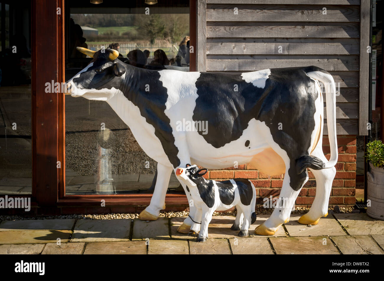 Models of cow and calf outside Rowdey Cow farm tea shop in UK Stock ...