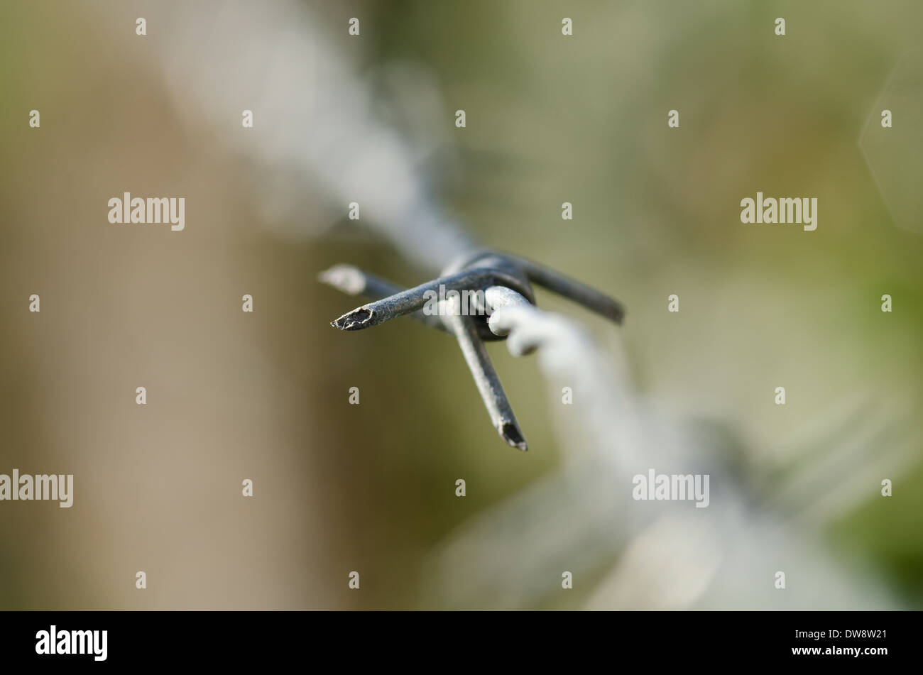 Deep cut gardens hi-res stock photography and images - Alamy