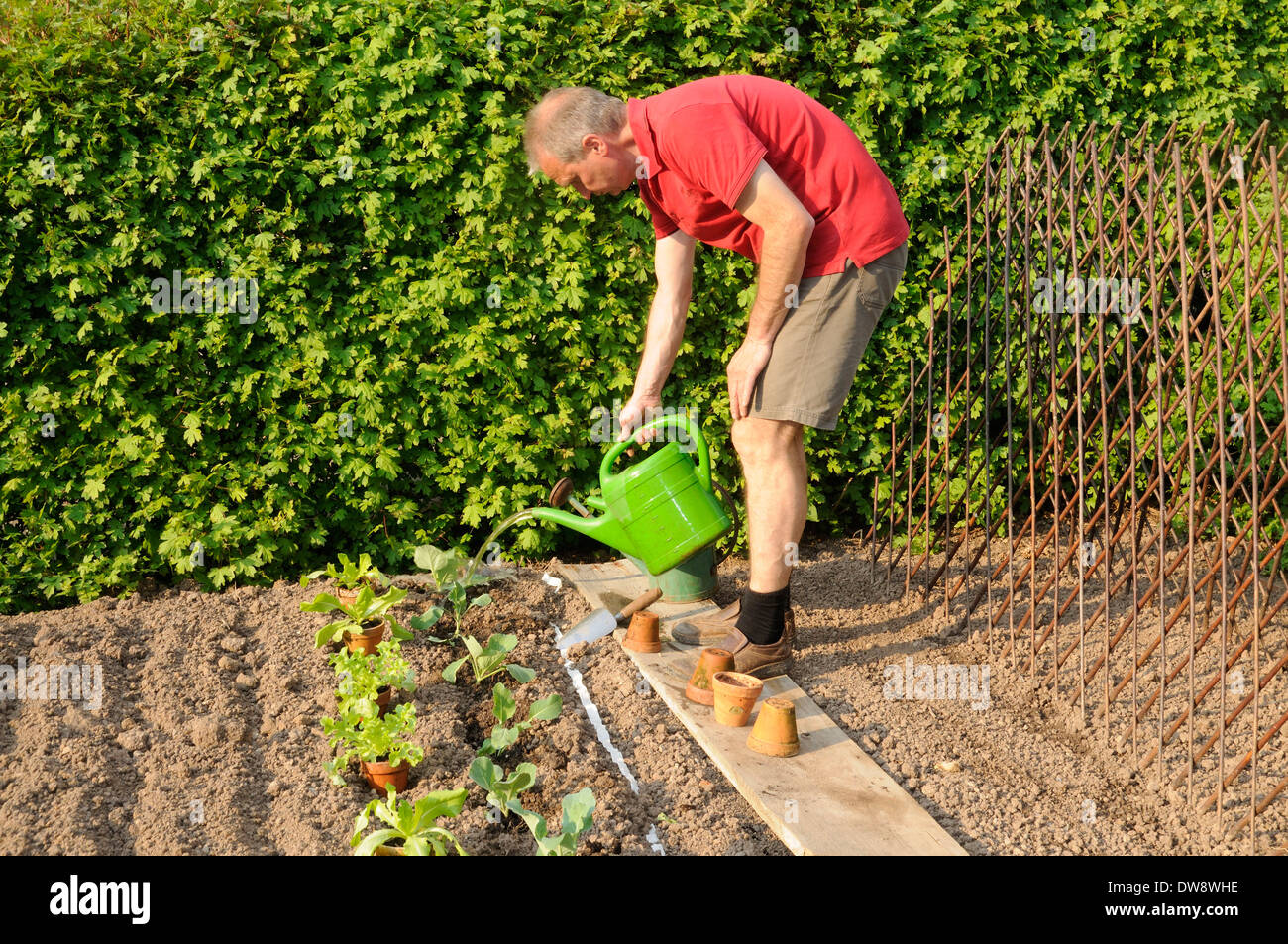 Man preparing bed Stock Photo - Alamy