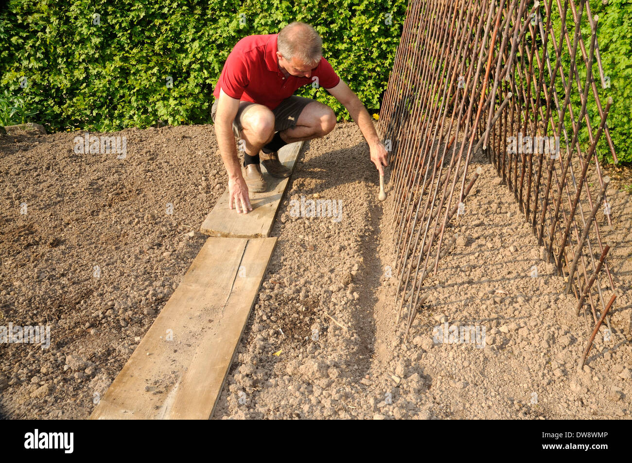 Man preparing vegetable bed / groove for seed Stock Photo - Alamy