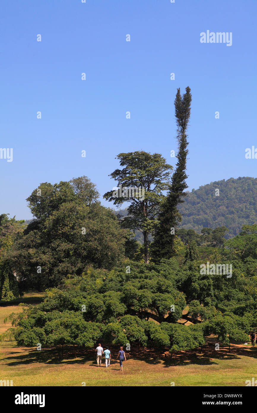 Peradeniya hi-res stock photography and images - Alamy