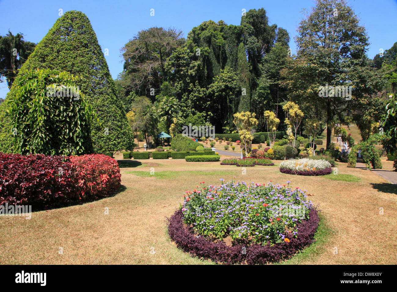 Sri Lanka, Kandy, Peradeniya Botanical Gardens Stock Photo - Alamy