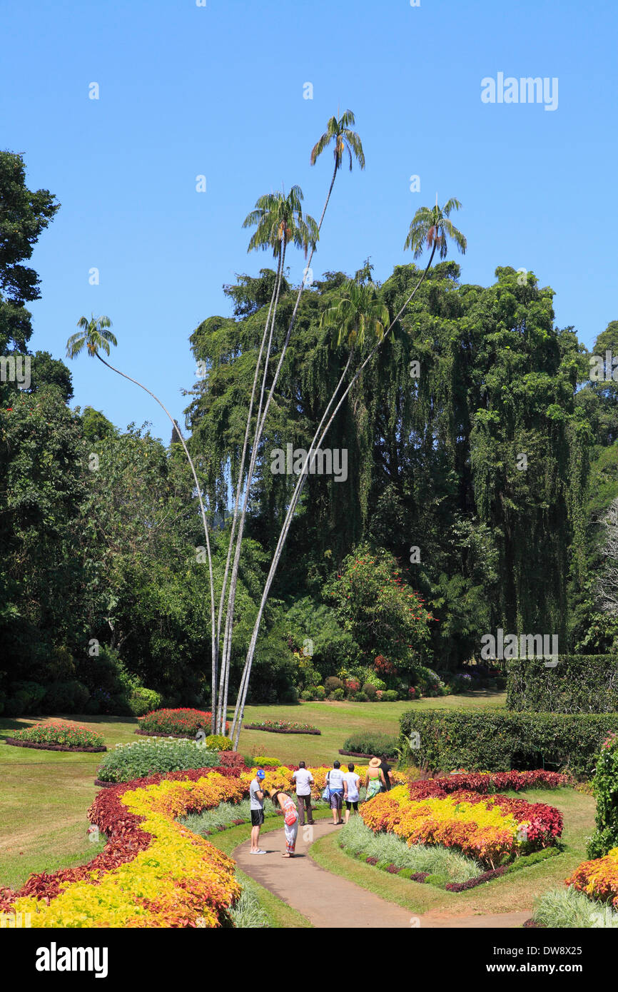 Peradeniya botanical gardens hi-res stock photography and images - Alamy