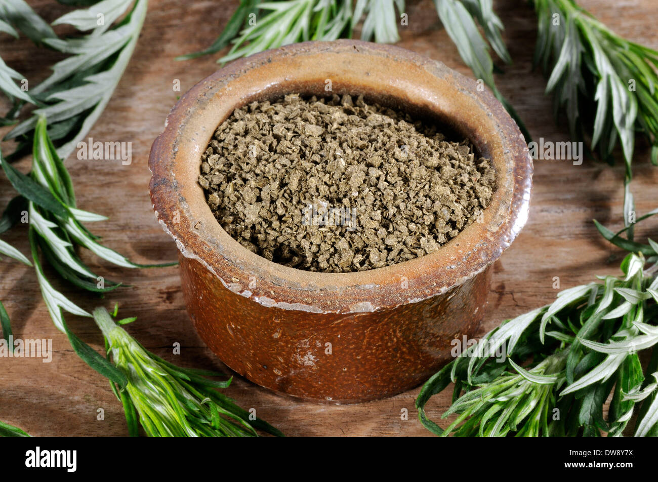 At mugwort hi-res stock photography and images - Alamy
