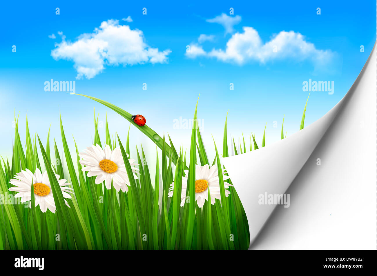 Spring background with flowers, grass and a ladybug. Vector Stock Photo ...