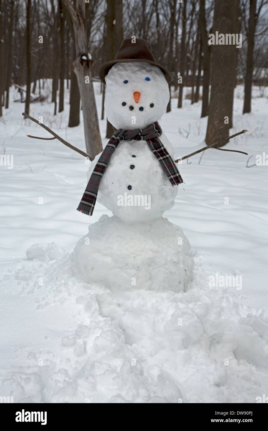 Snowman with stick arms hi-res stock photography and images - Alamy