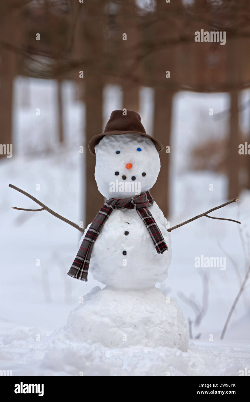 Snowman with stick arms hi-res stock photography and images - Alamy