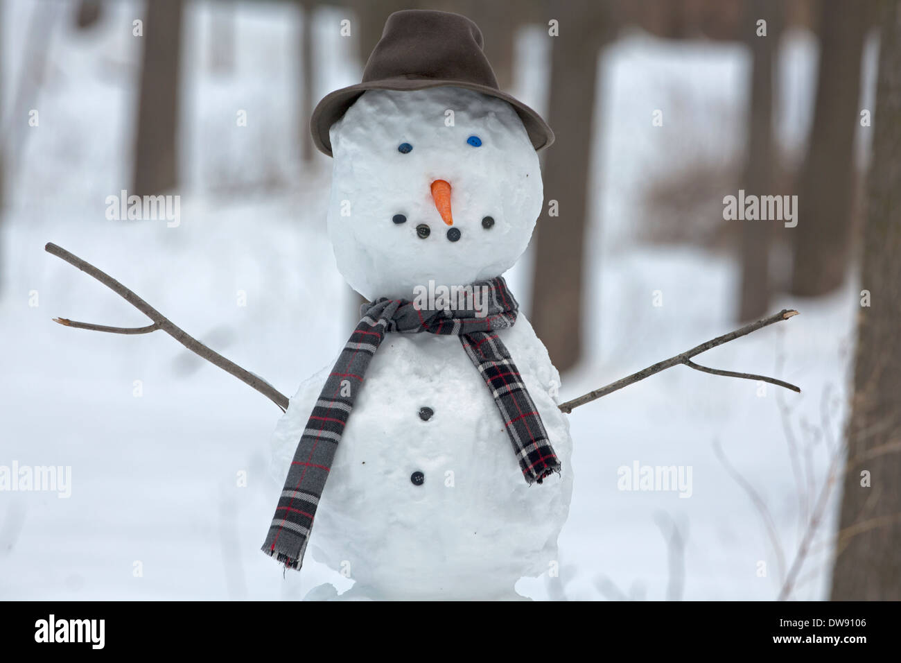Snowman with stick arms hi-res stock photography and images - Alamy