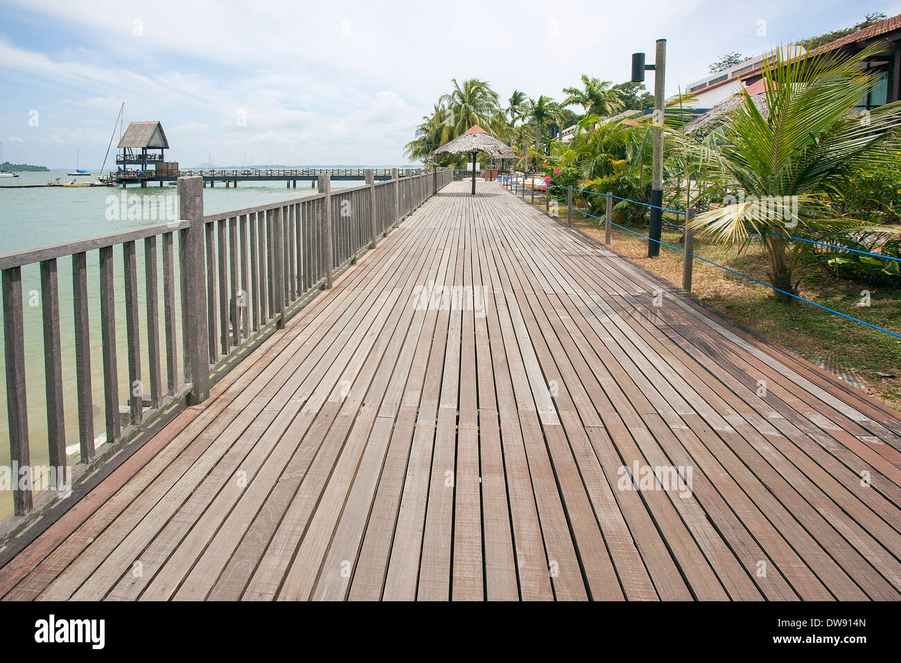 Changi Point Boardwalk with Tropical Trees and Boat Jetty in Singapore ...