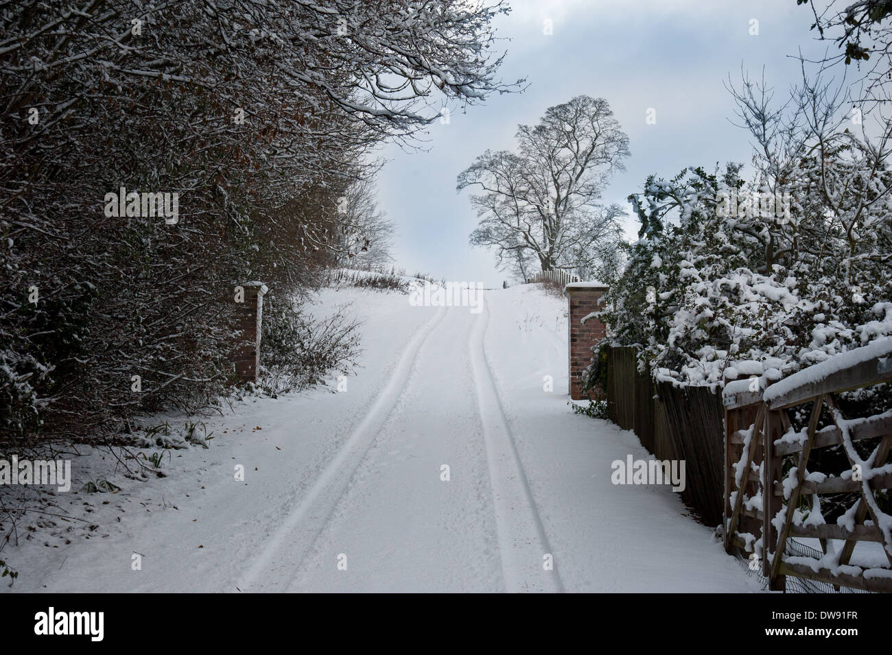 After a snowfall in the UK this country lane in Kent looked beautiful ...
