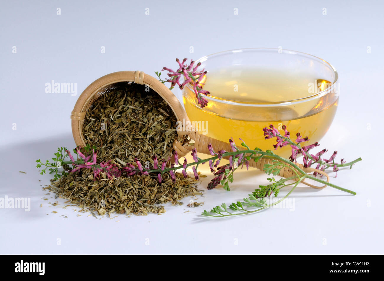 Common Fumitory tea Stock Photo - Alamy