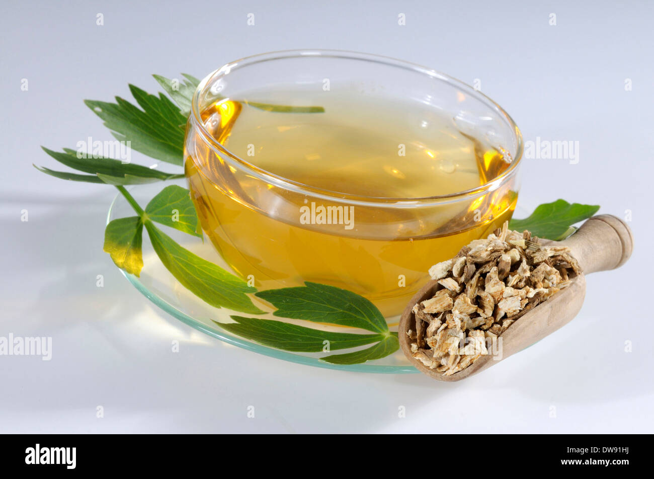 Lovage root tea Stock Photo - Alamy
