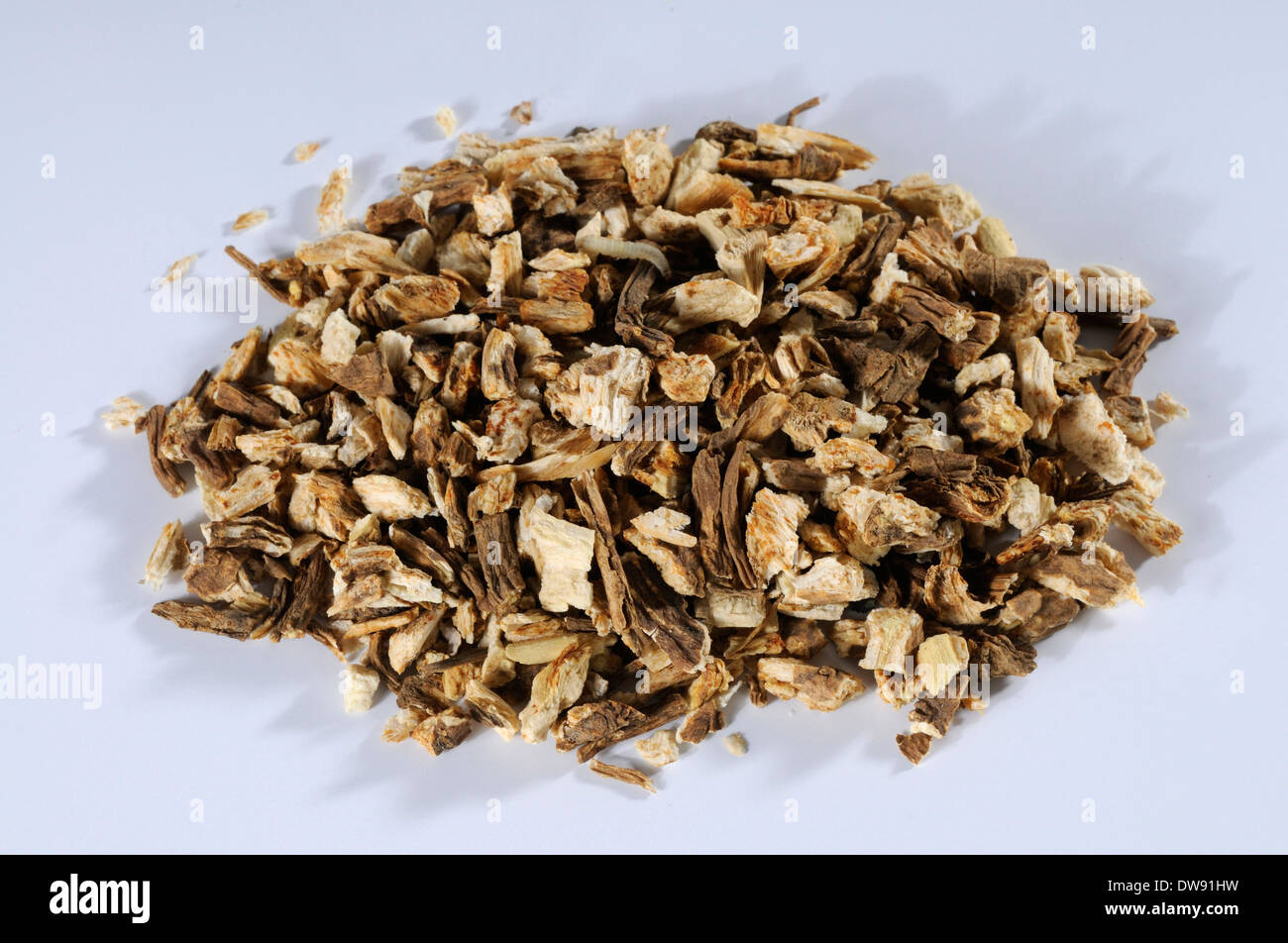 Lovage Root High Resolution Stock Photography and Images - Alamy