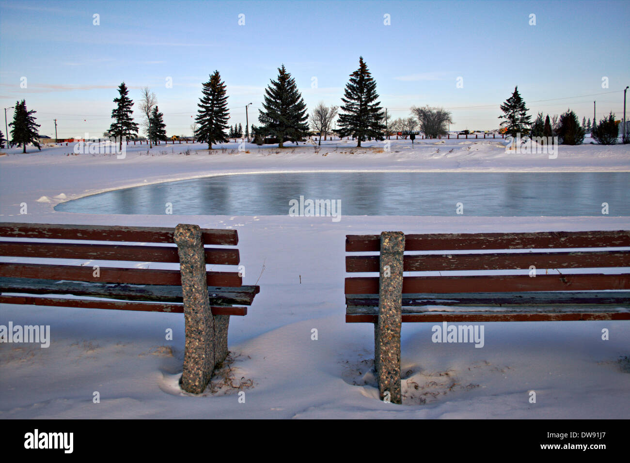 outdoor ice skating pond in Winter, 2 park benches overlook hockey ice ...