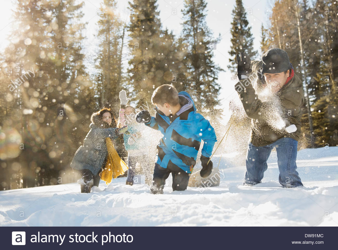 Family having snowball fight outdoors Stock Photo - Alamy