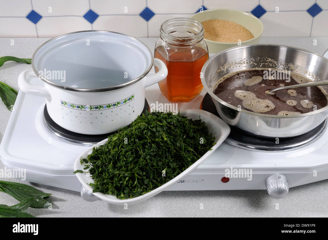 English Plantain syrup Stock Photo - Alamy