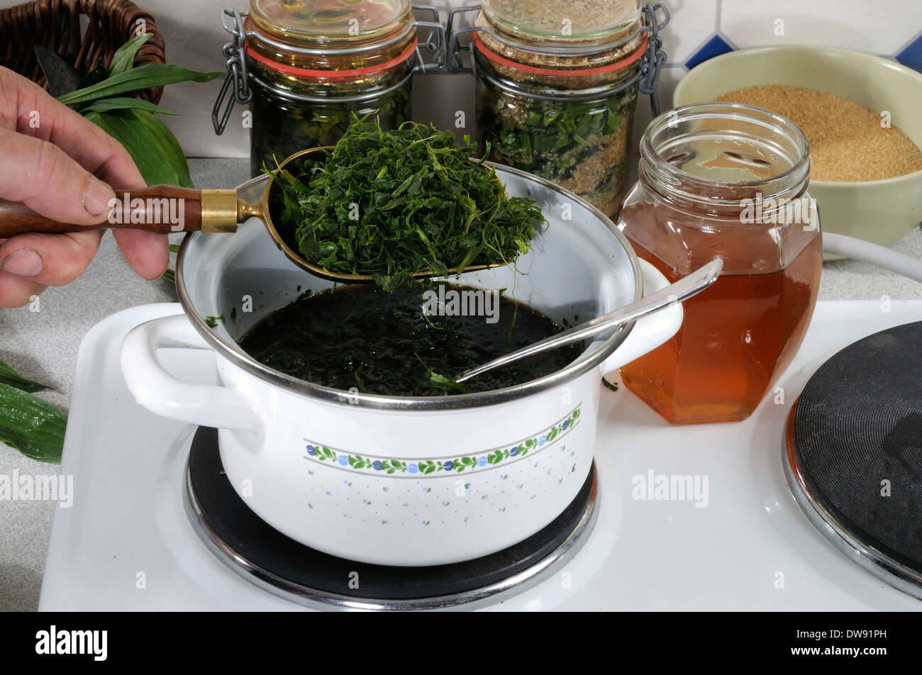 English Plantain syrup Stock Photo - Alamy