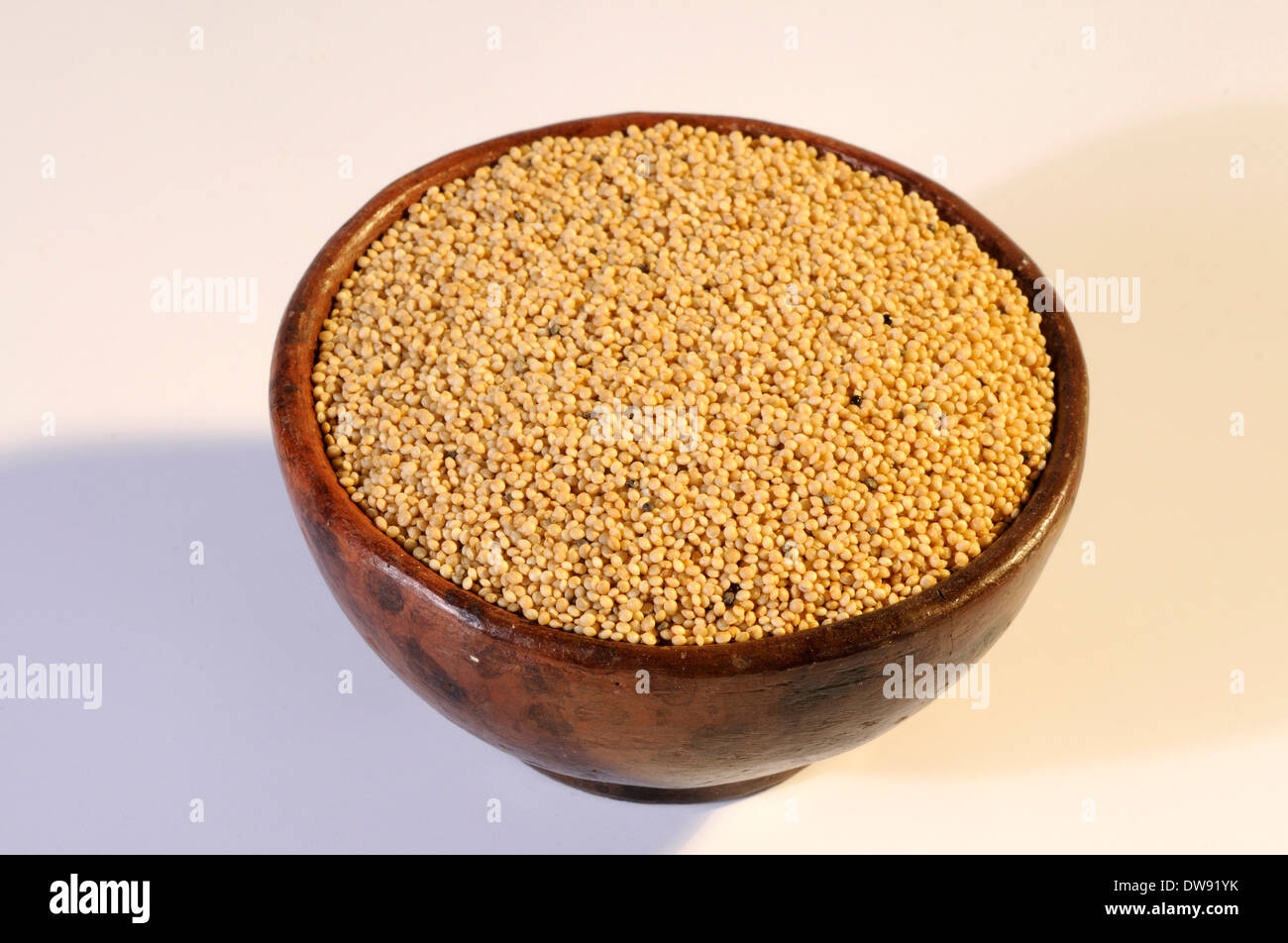 Amaranth hi-res stock photography and images - Alamy