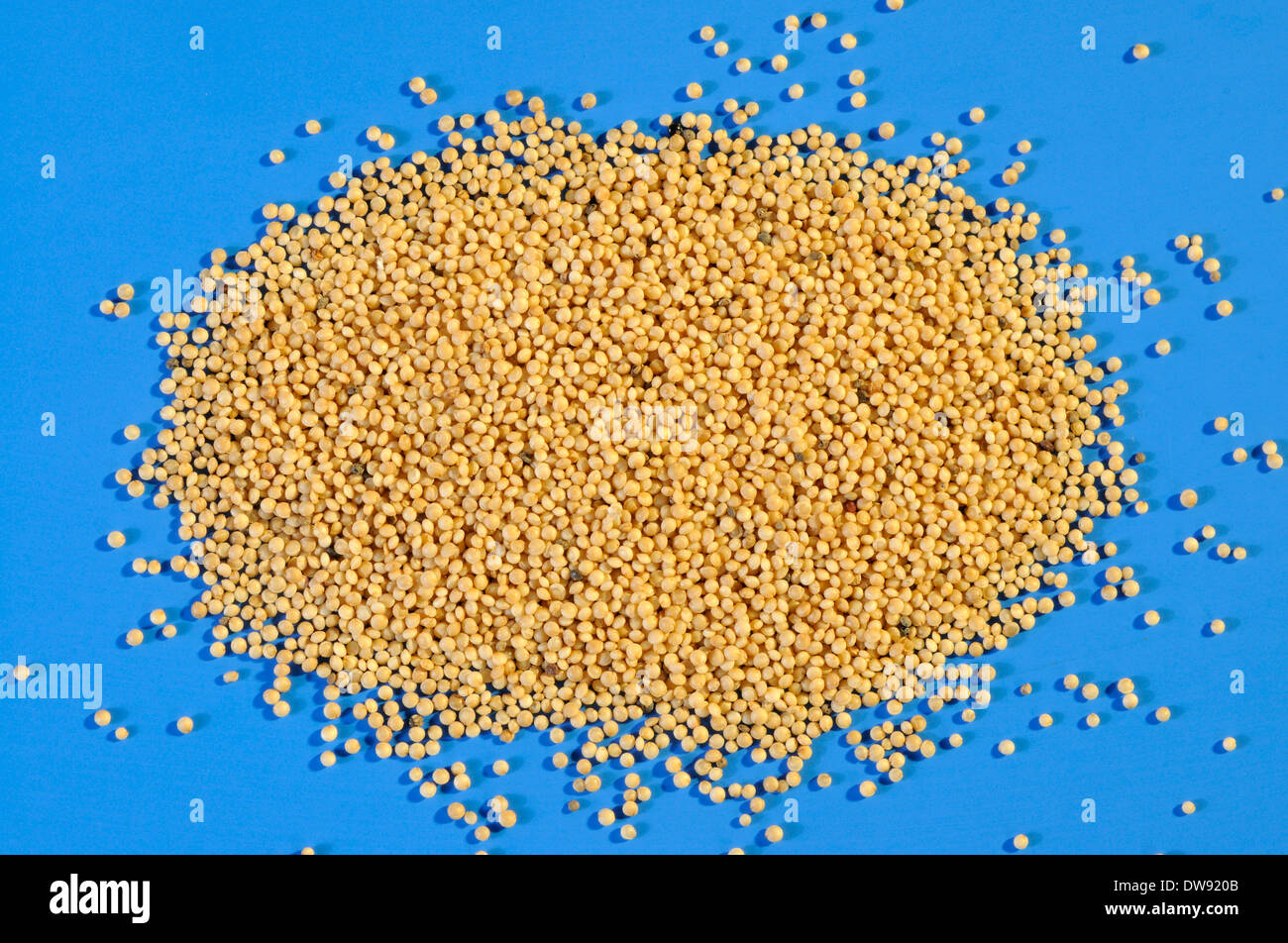 Amaranth color hi-res stock photography and images - Alamy