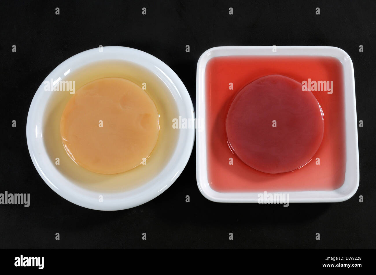 Kombucha isolated hi-res stock photography and images - Alamy