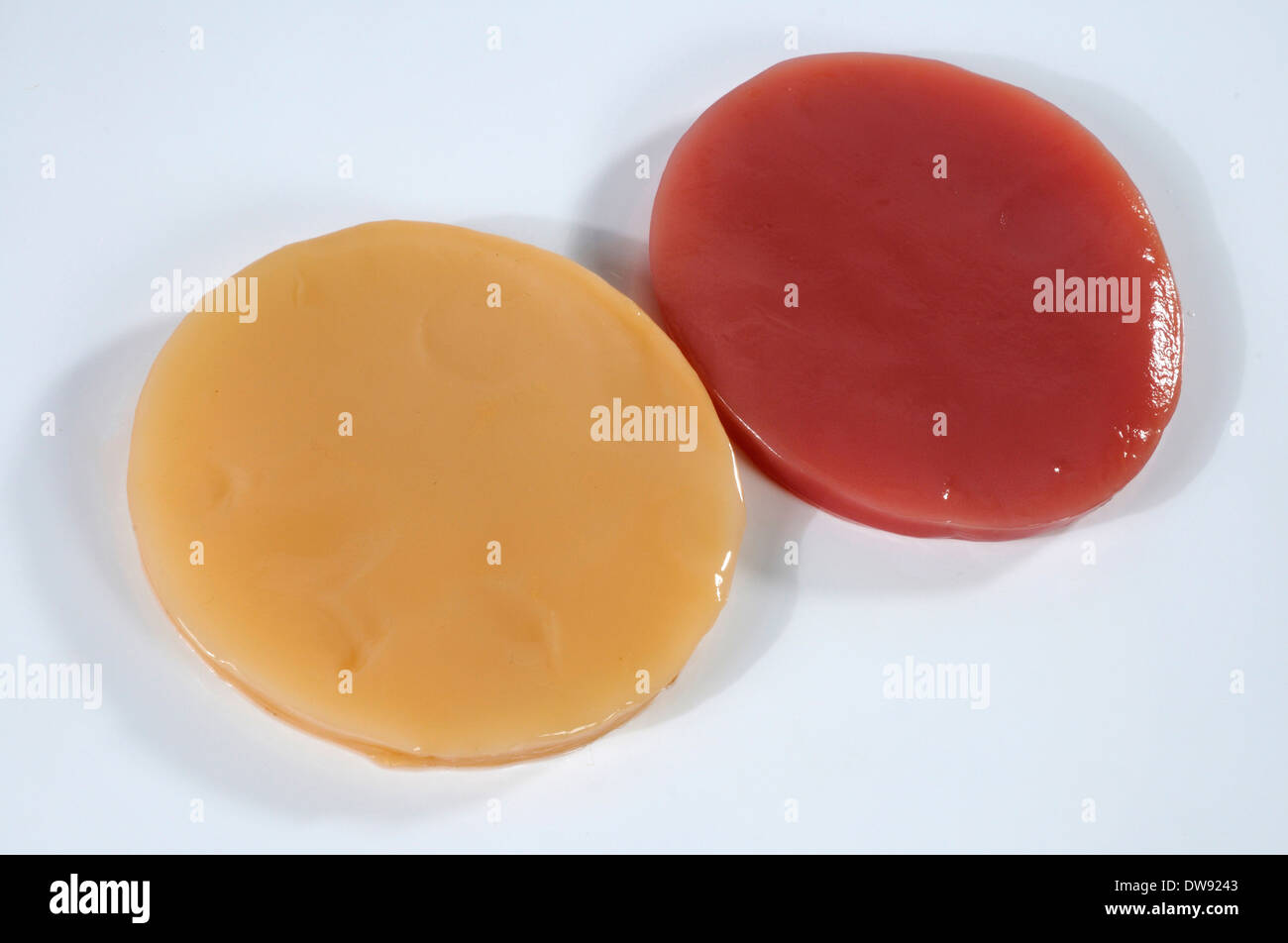 Kombucha fungus hi-res stock photography and images - Alamy