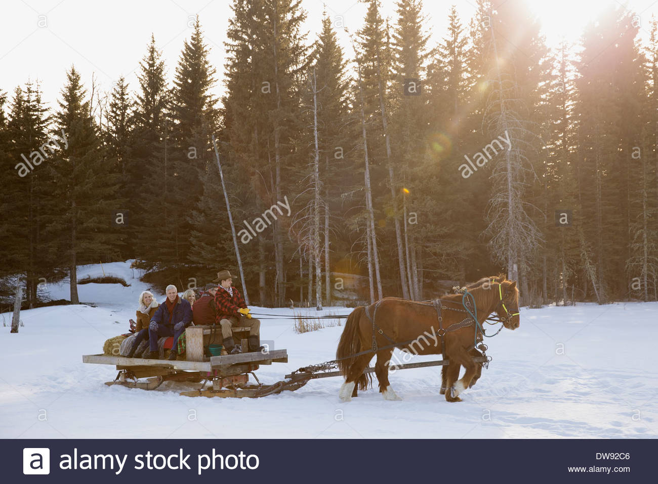 Horse Sleigh Snow Stock Photos & Horse Sleigh Snow Stock Images - Alamy