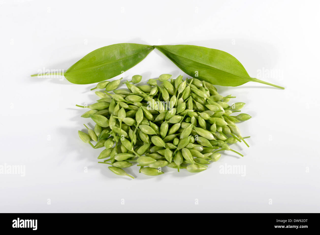 Ramson leaves hi-res stock photography and images - Alamy