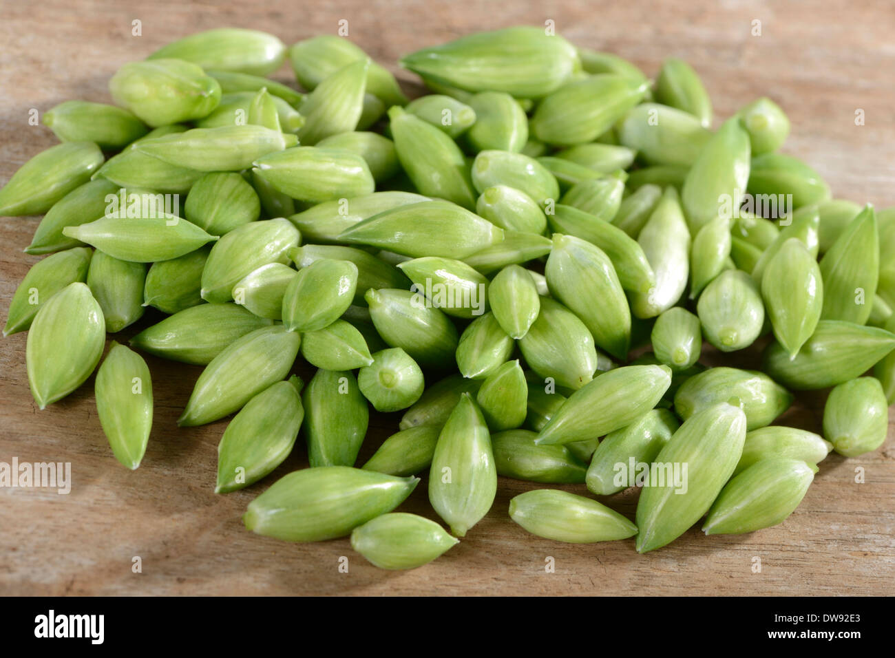 Ramson plant hi-res stock photography and images - Alamy