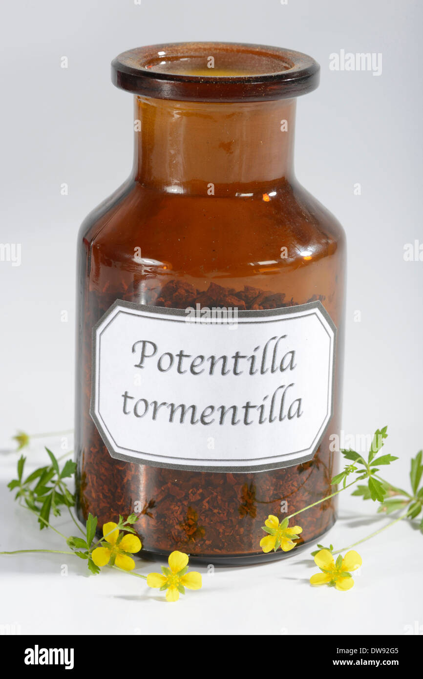 Tormentil High Resolution Stock Photography and Images - Alamy