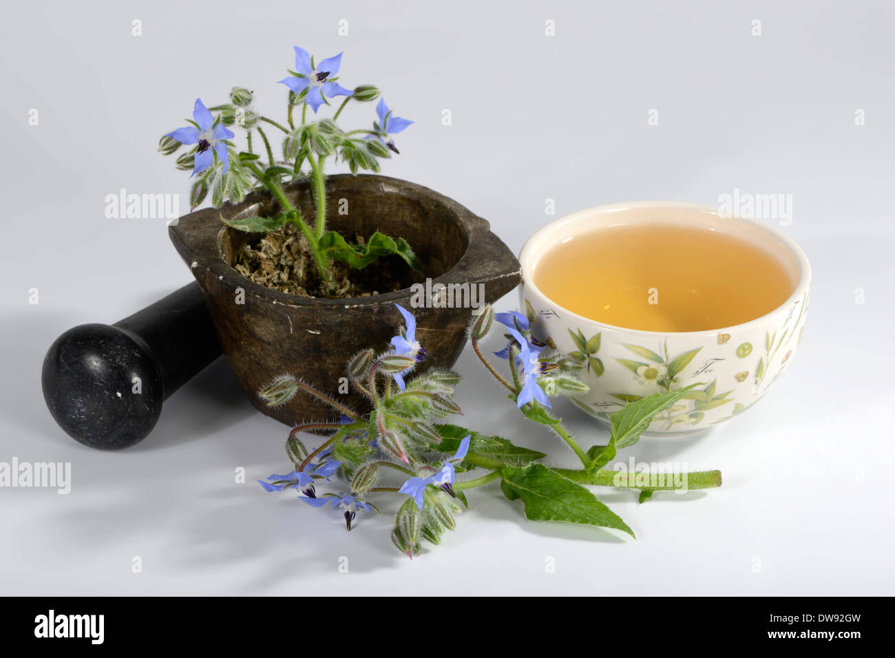 Borage tea hi-res stock photography and images - Alamy