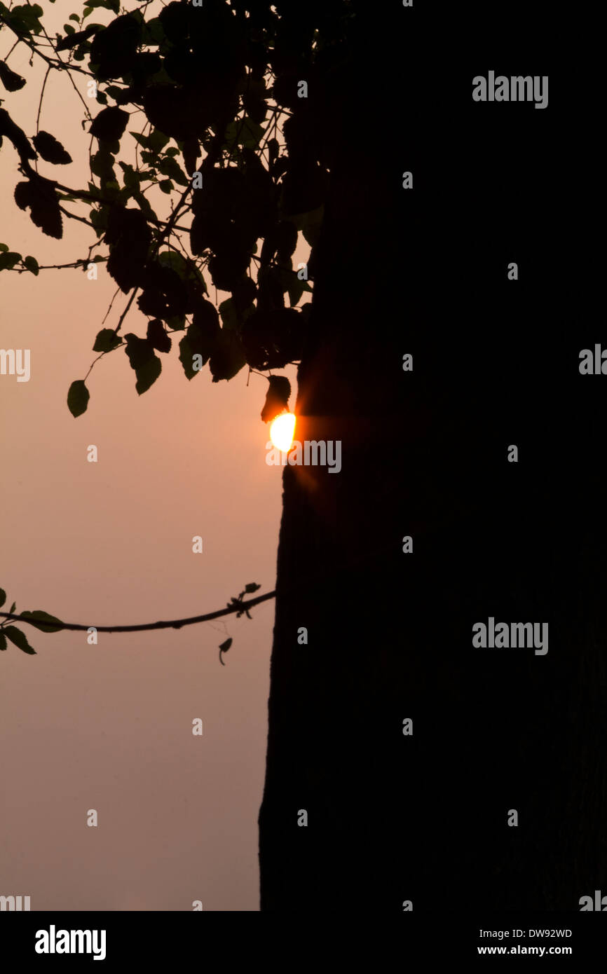 Time of sunset Stock Photo - Alamy