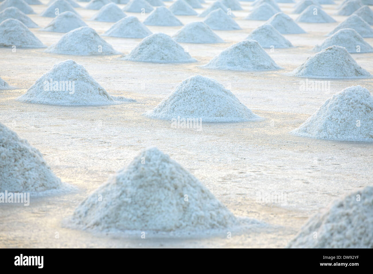 Piles of salt on the surface of the salt lake, Thailand Stock Photo - Alamy