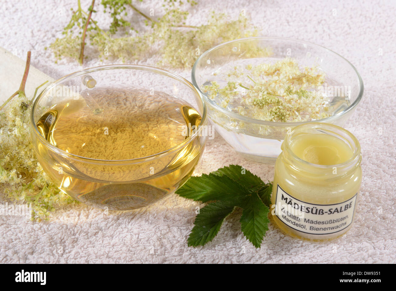 Meadowsweet tea hi-res stock photography and images - Alamy