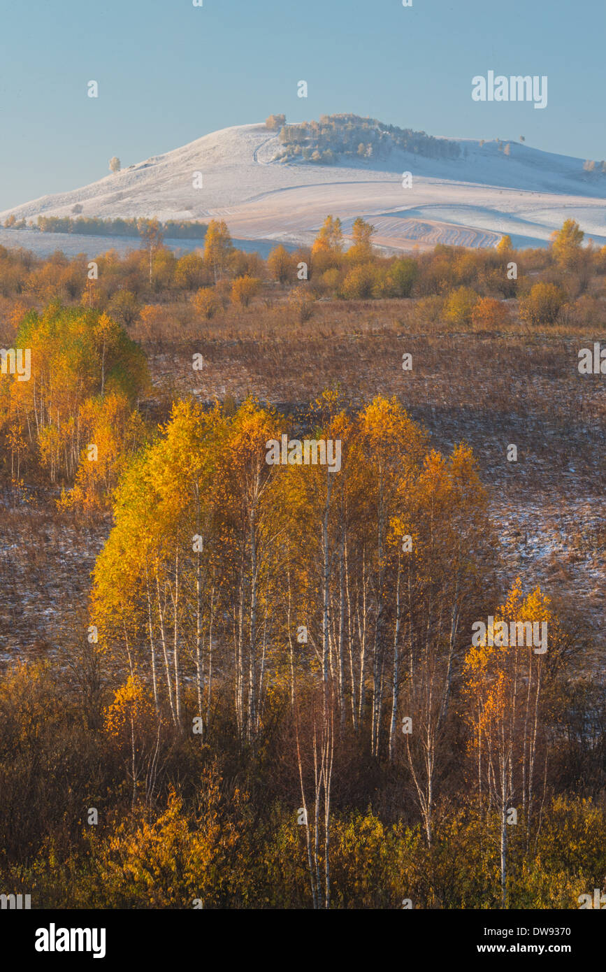 Fall in Altai Foothills. Siberia. Russia Stock Photo - Alamy