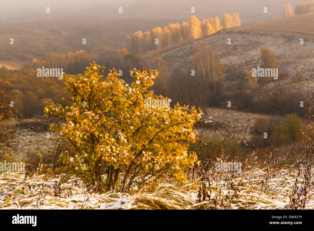Russia village hills hi-res stock photography and images - Alamy